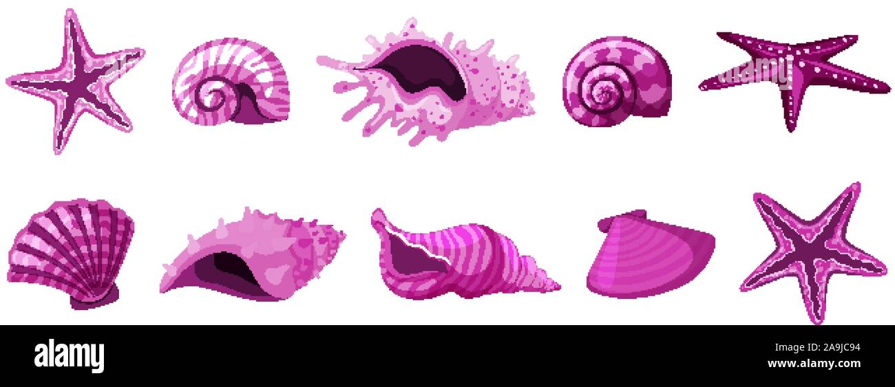 Set of isolated seashells in pink color illustration Stock Vector Image ...