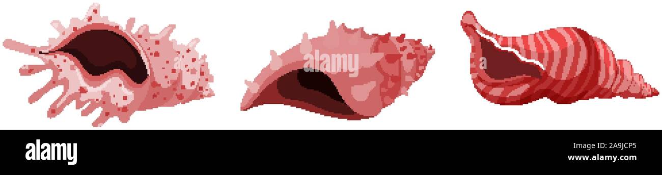 Set of isolated seashells in red color illustration Stock Vector Image ...