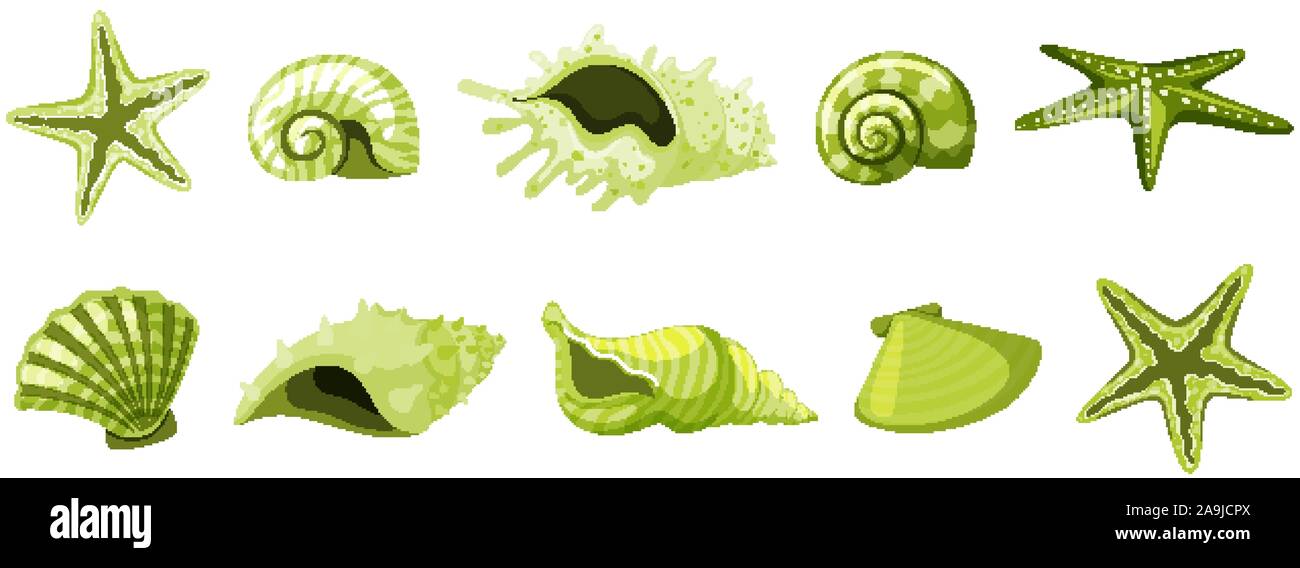 Set of isolated seashells in green color illustration Stock Vector ...
