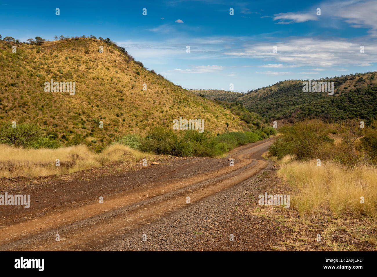 Ethiopia, South Omo, Jinka, Mago National Park, rough road to Mursi ...