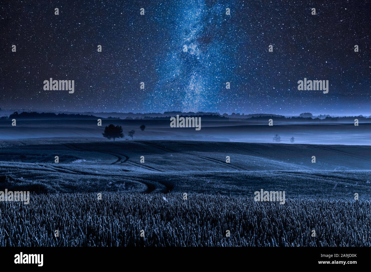 Milky way over filed with one tree at night Stock Photo - Alamy