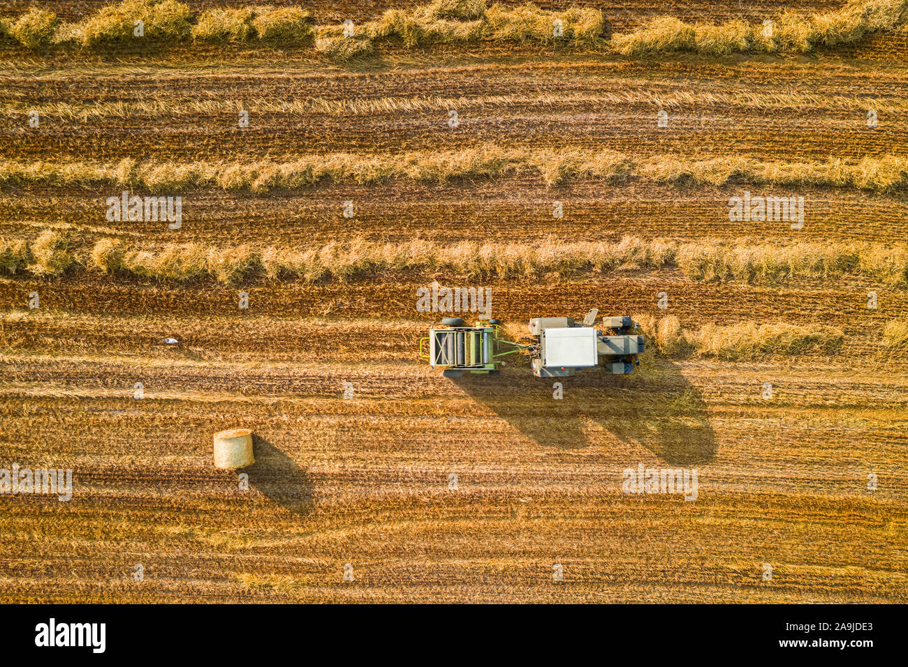 Top down view of tractor collecting and pressing hay Stock Photo - Alamy
