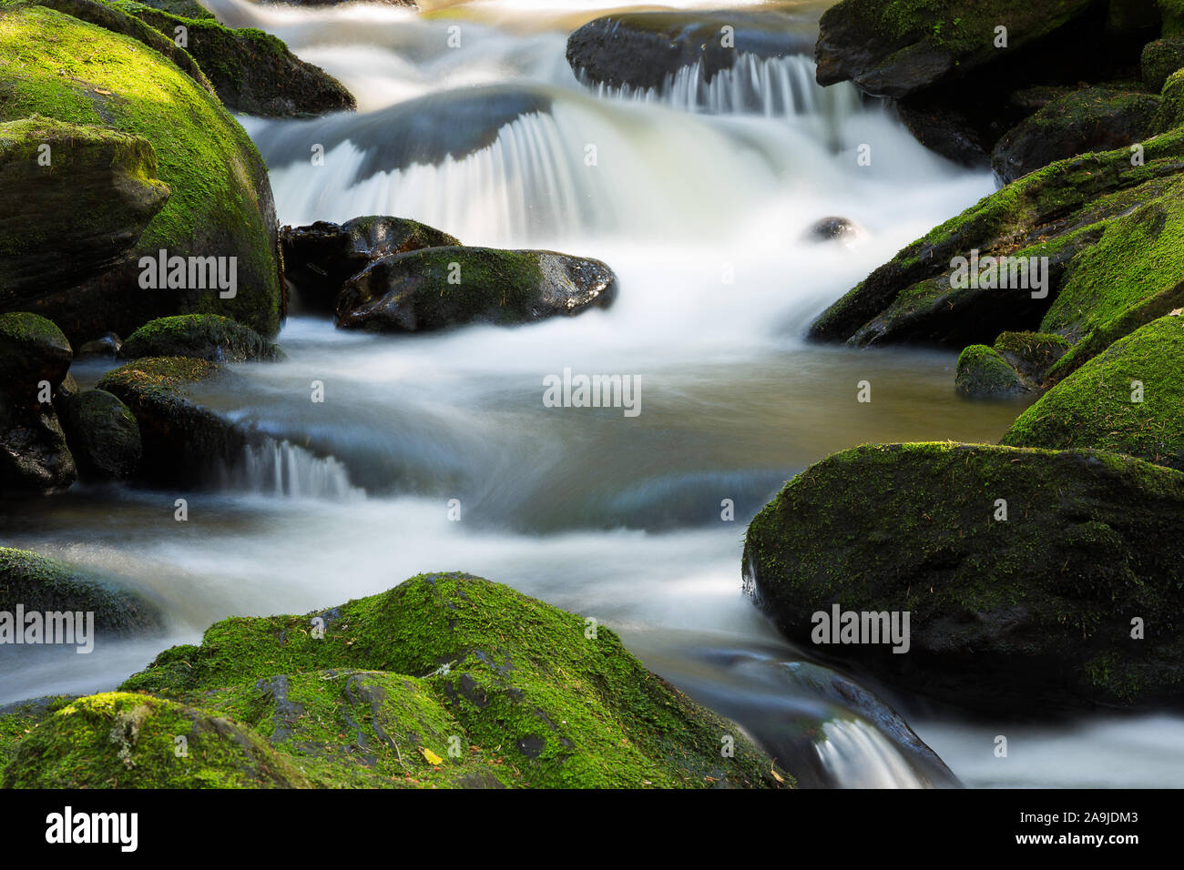Boehmerwald hi-res stock photography and images - Alamy
