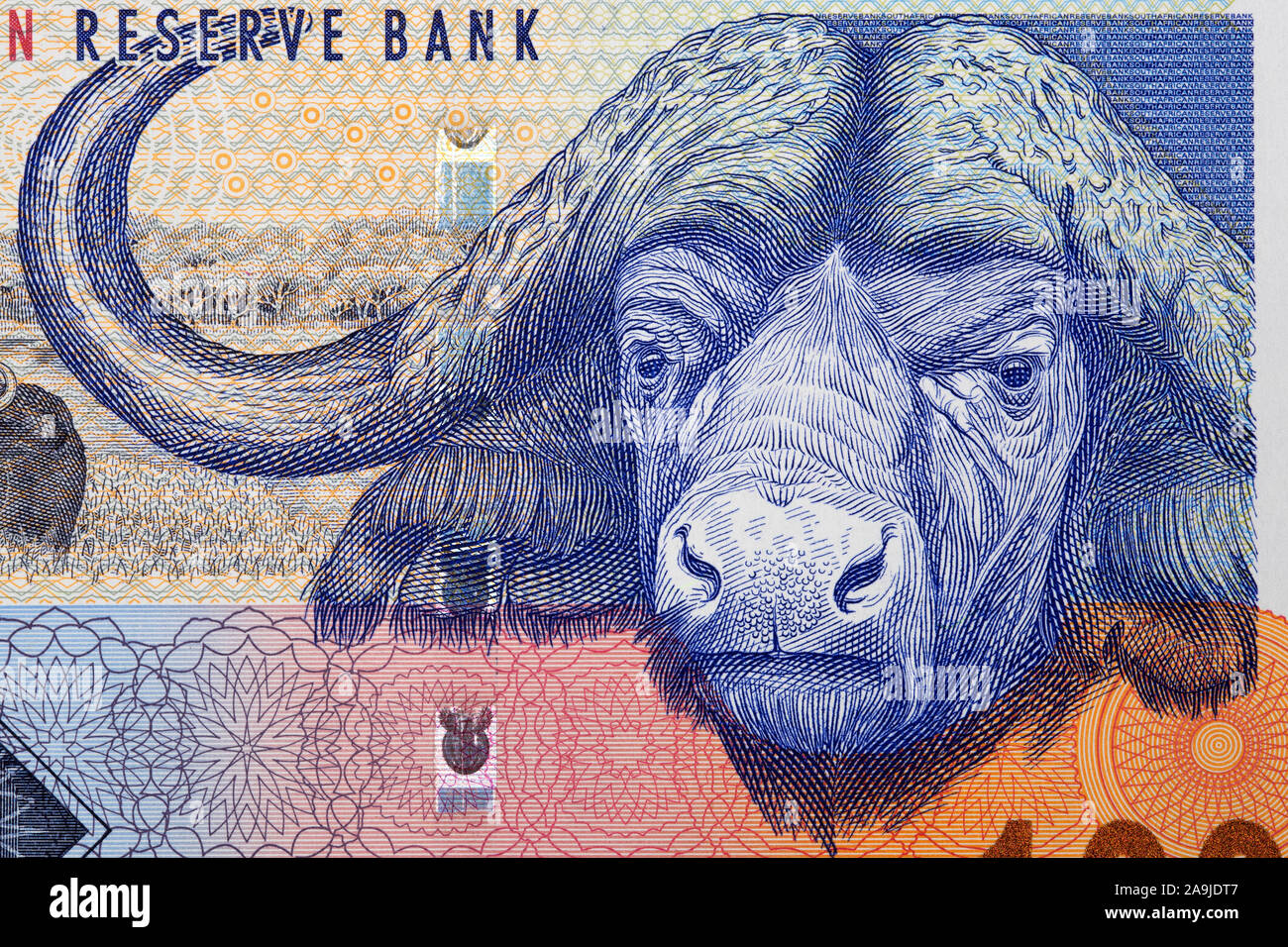 South african money hi-res stock photography and images - Alamy