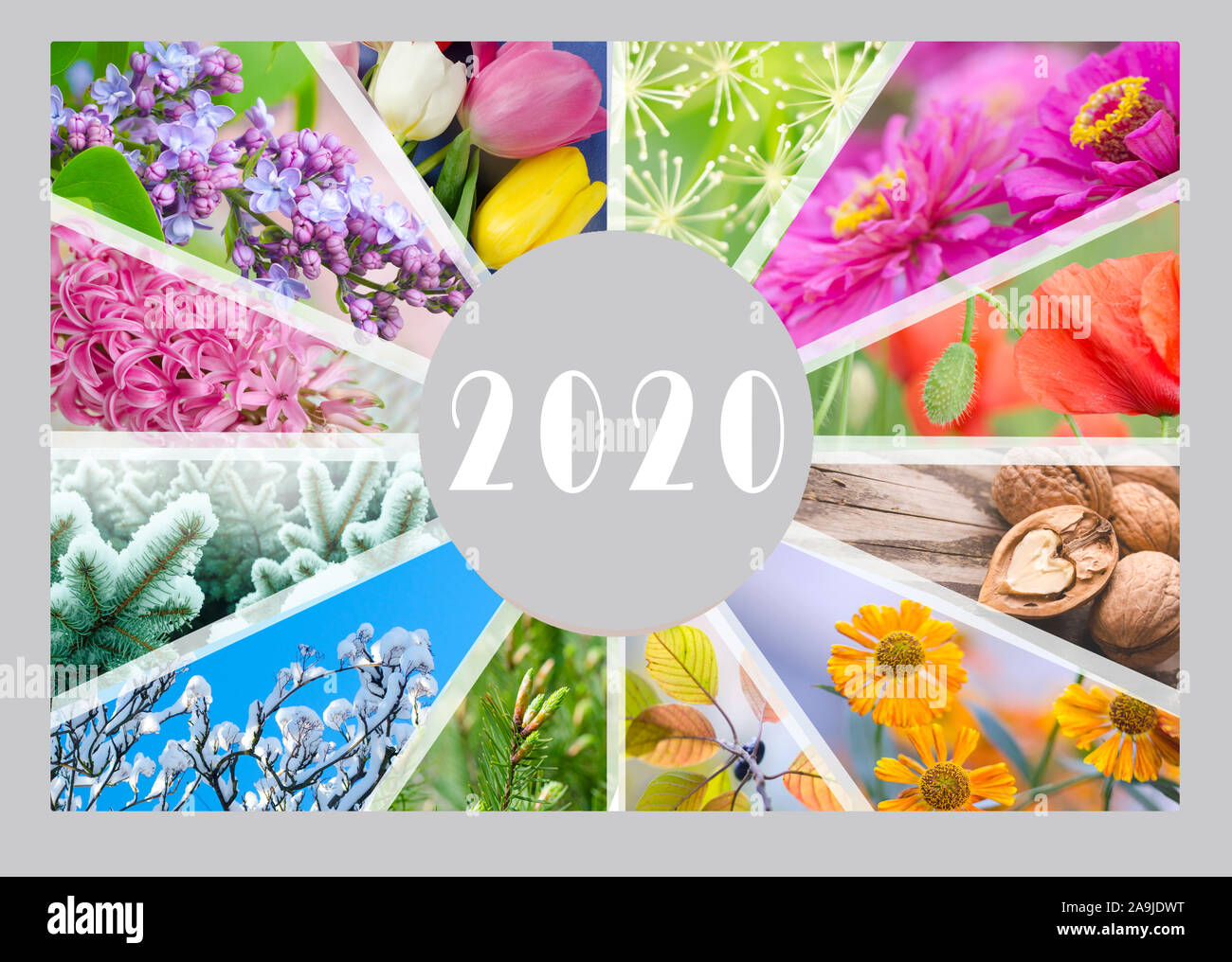 Seasonal Calendar for 2020 year. Creative collage. Quarterly calendar ...