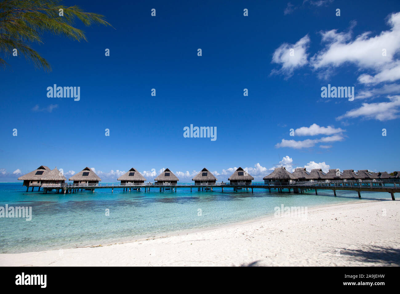 authentic traditional Polynesian houses with thatched roof above the ...
