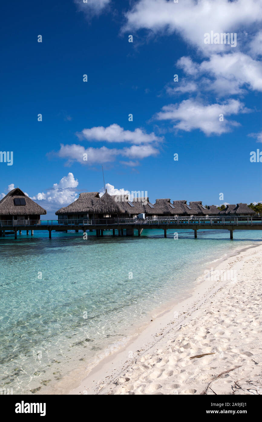 authentic traditional Polynesian houses with thatched roof above the ...