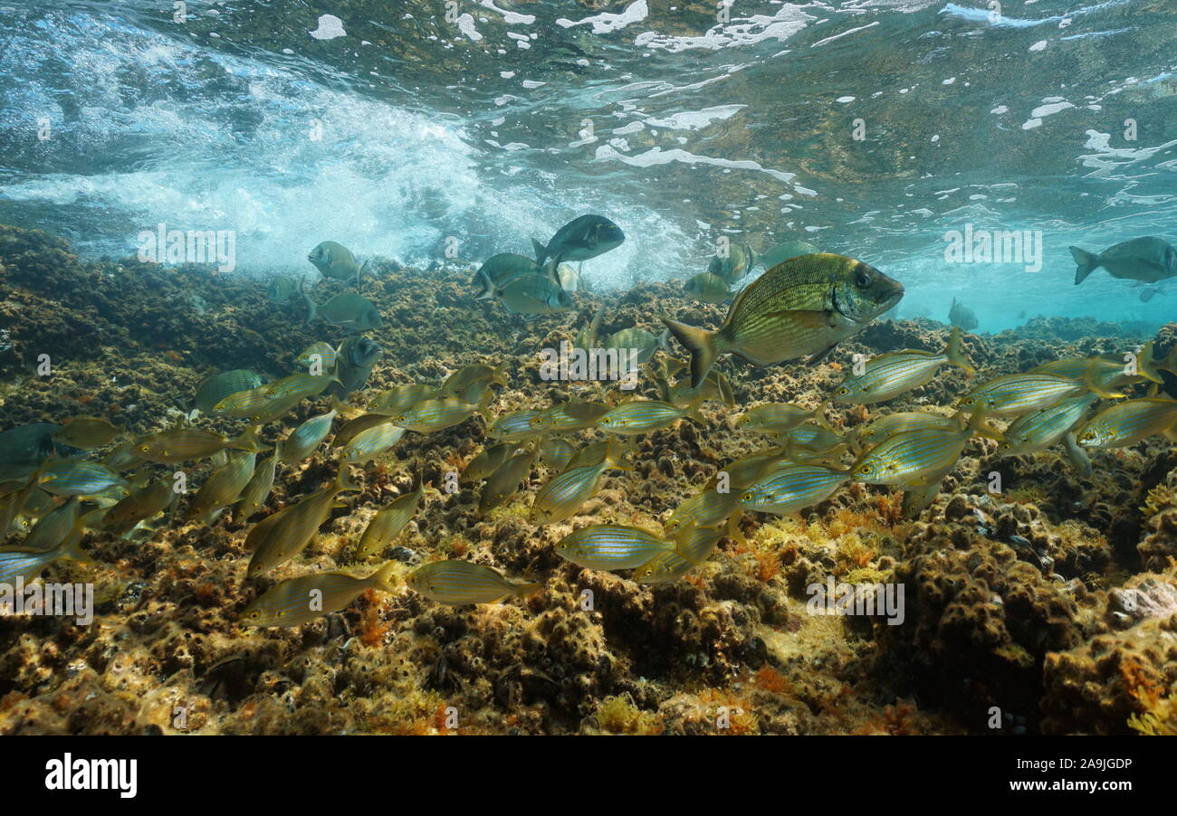 Rocky bottom hi-res stock photography and images - Alamy