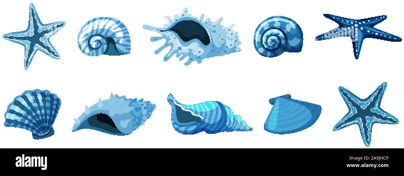 Set of isolated seashells in blue color illustration Stock Vector Image ...