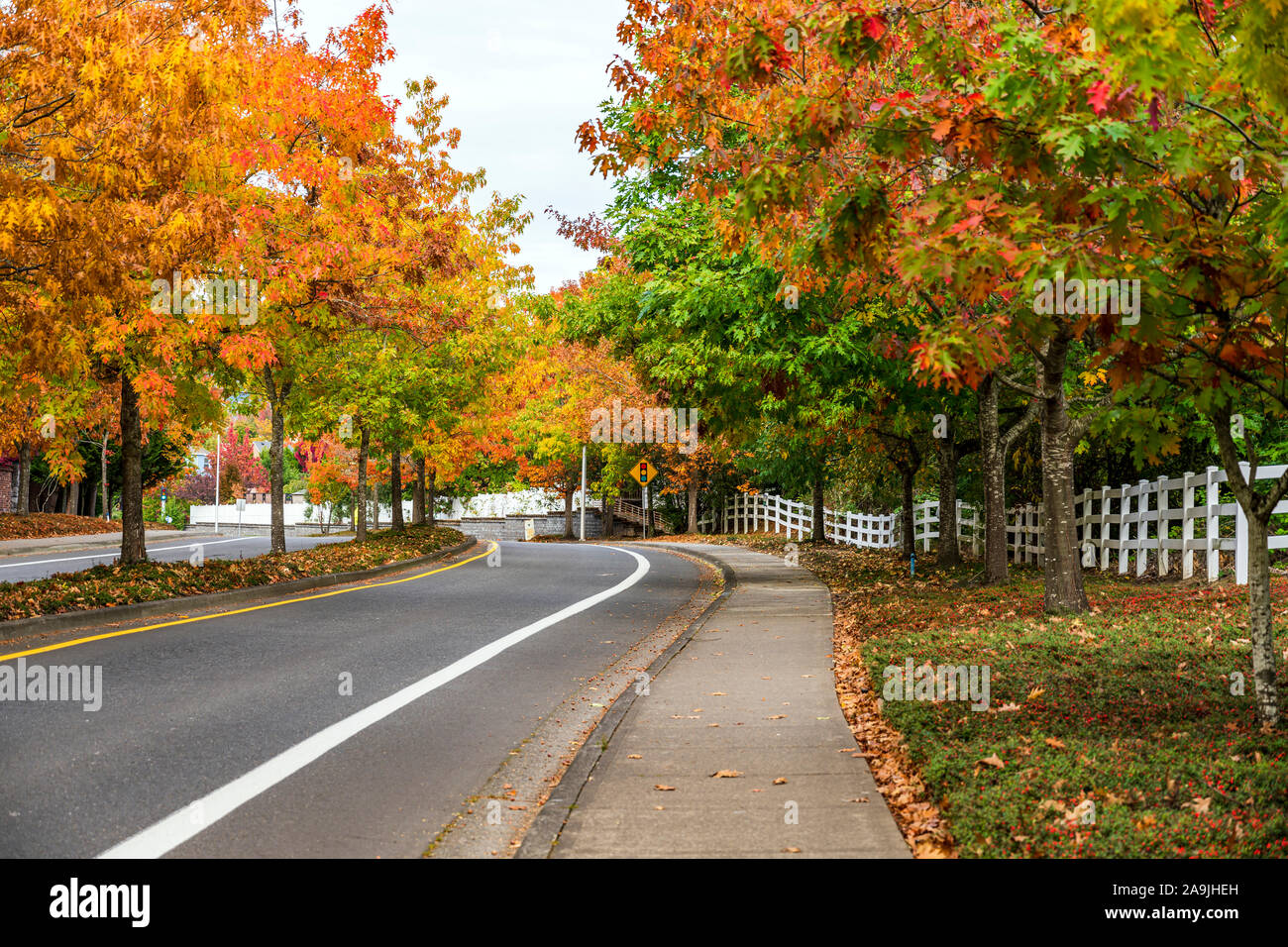 Picturesque autumn city landscape with trees with red and yellow leaves ...