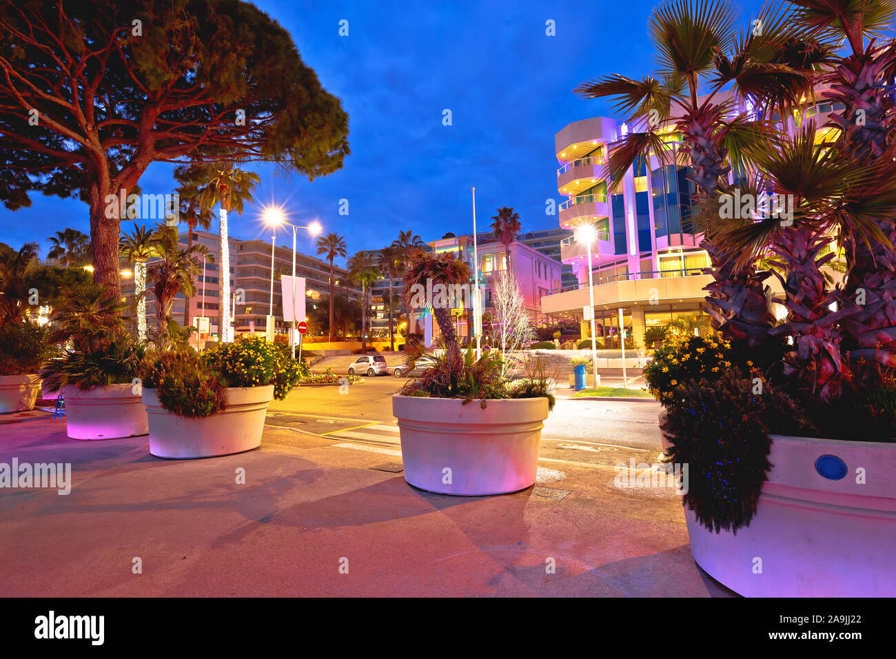Cannes. Palm waterfront architectue in town of Cannes evening view ...
