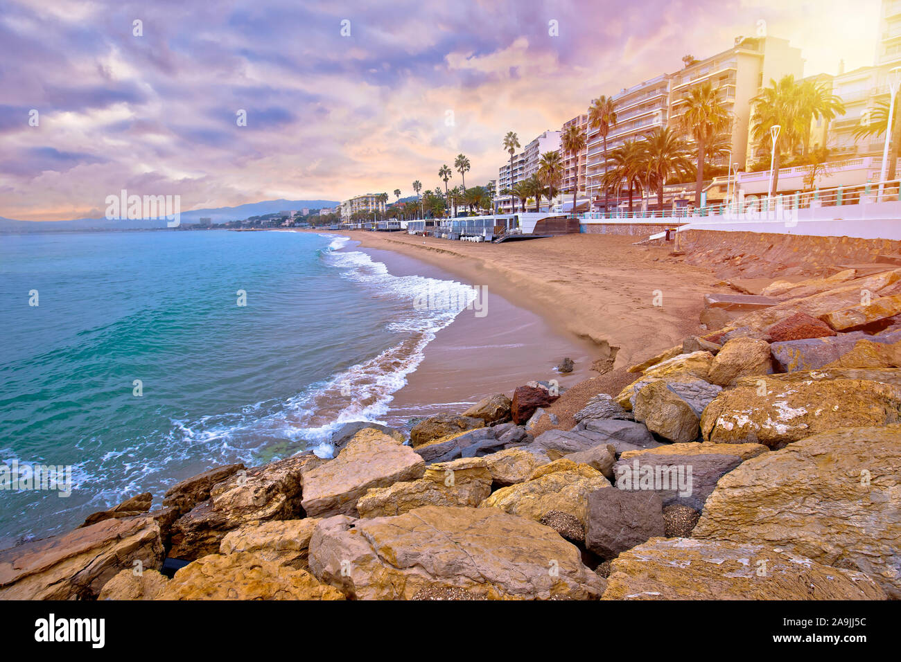 Cannes. Idyllic palm waterfront and sand beach in Cannes sun haze view ...
