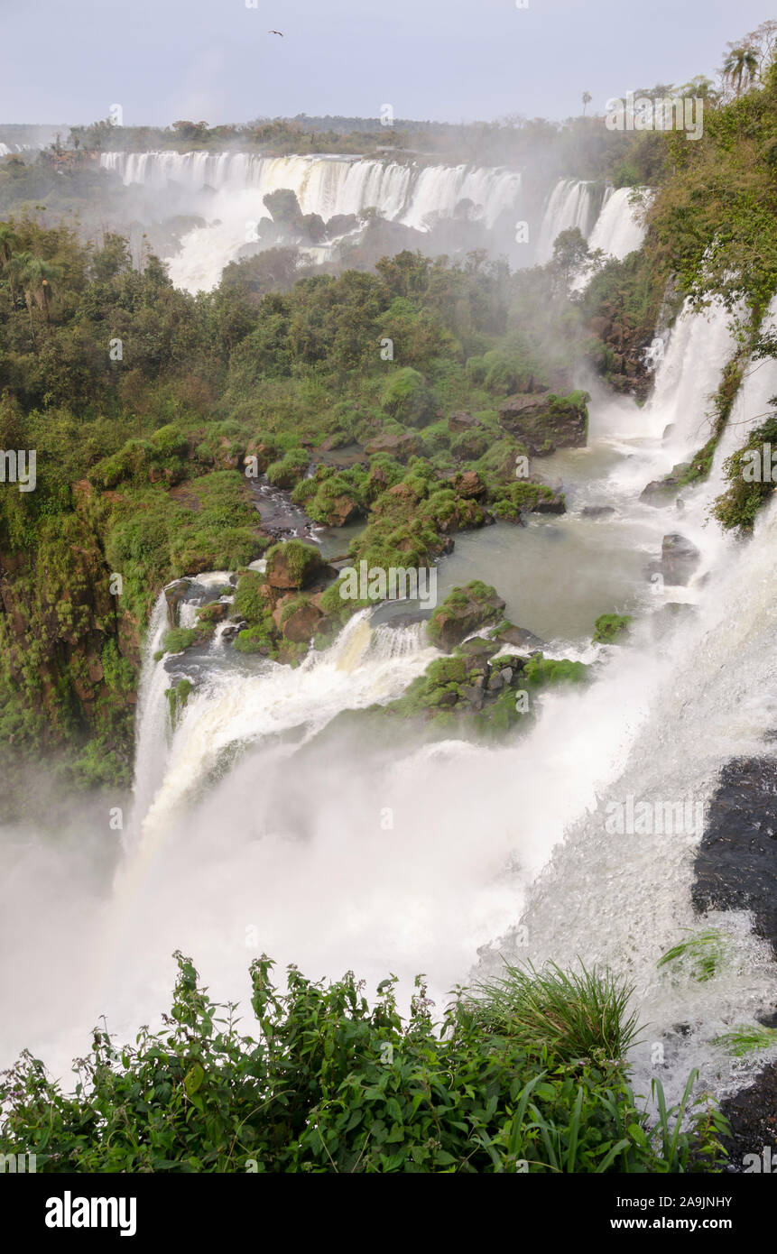overview of landscape to iguacu waterfalls in Brazil Stock Photo - Alamy