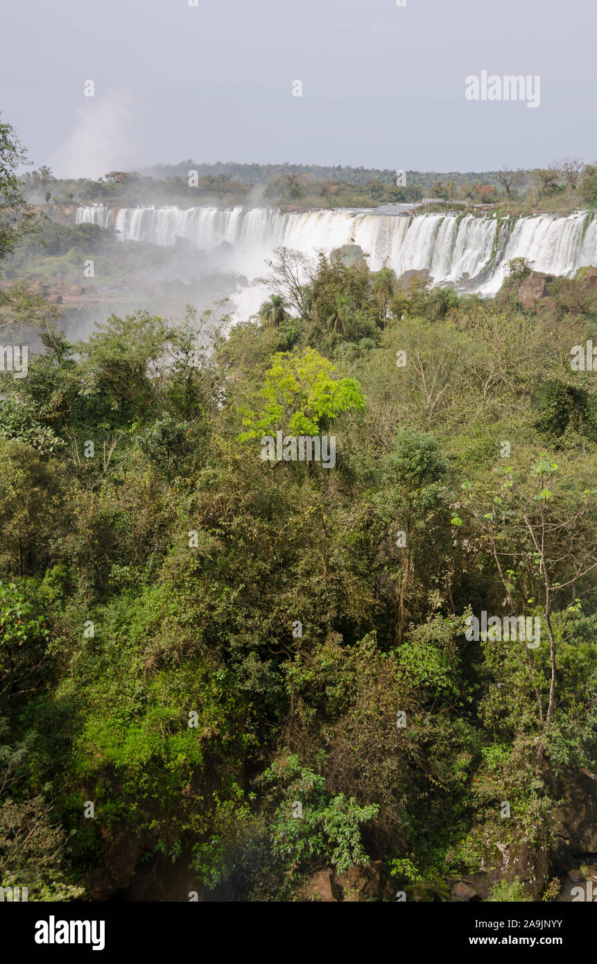 overview of landscape to iguacu waterfalls in Brazil Stock Photo - Alamy