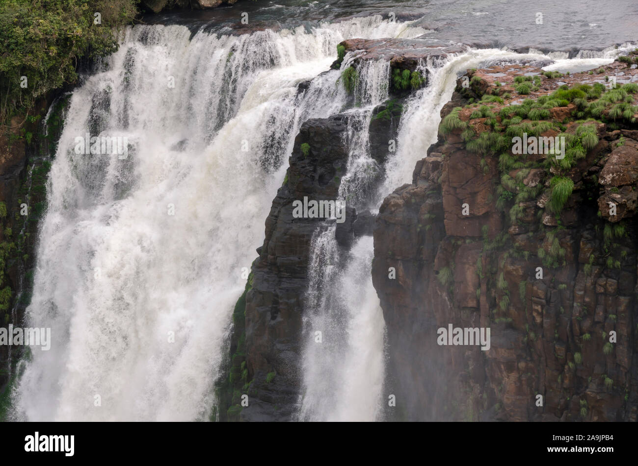 overview of landscape to iguacu waterfalls in Brazil Stock Photo - Alamy