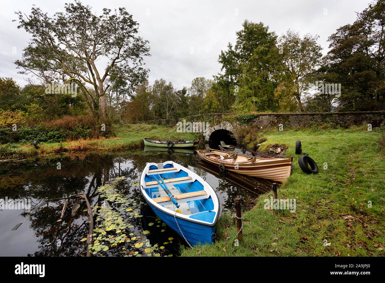 Hgcdfth hi-res stock photography and images - Alamy