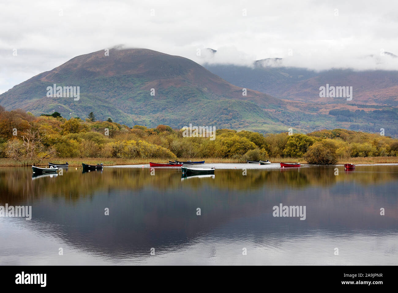 Hgcdfth hi-res stock photography and images - Alamy