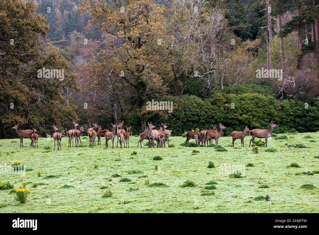 Hgcdfth hi-res stock photography and images - Alamy