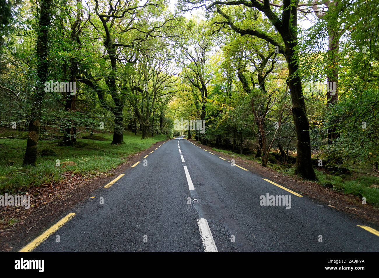 Hgcdfth hi-res stock photography and images - Alamy