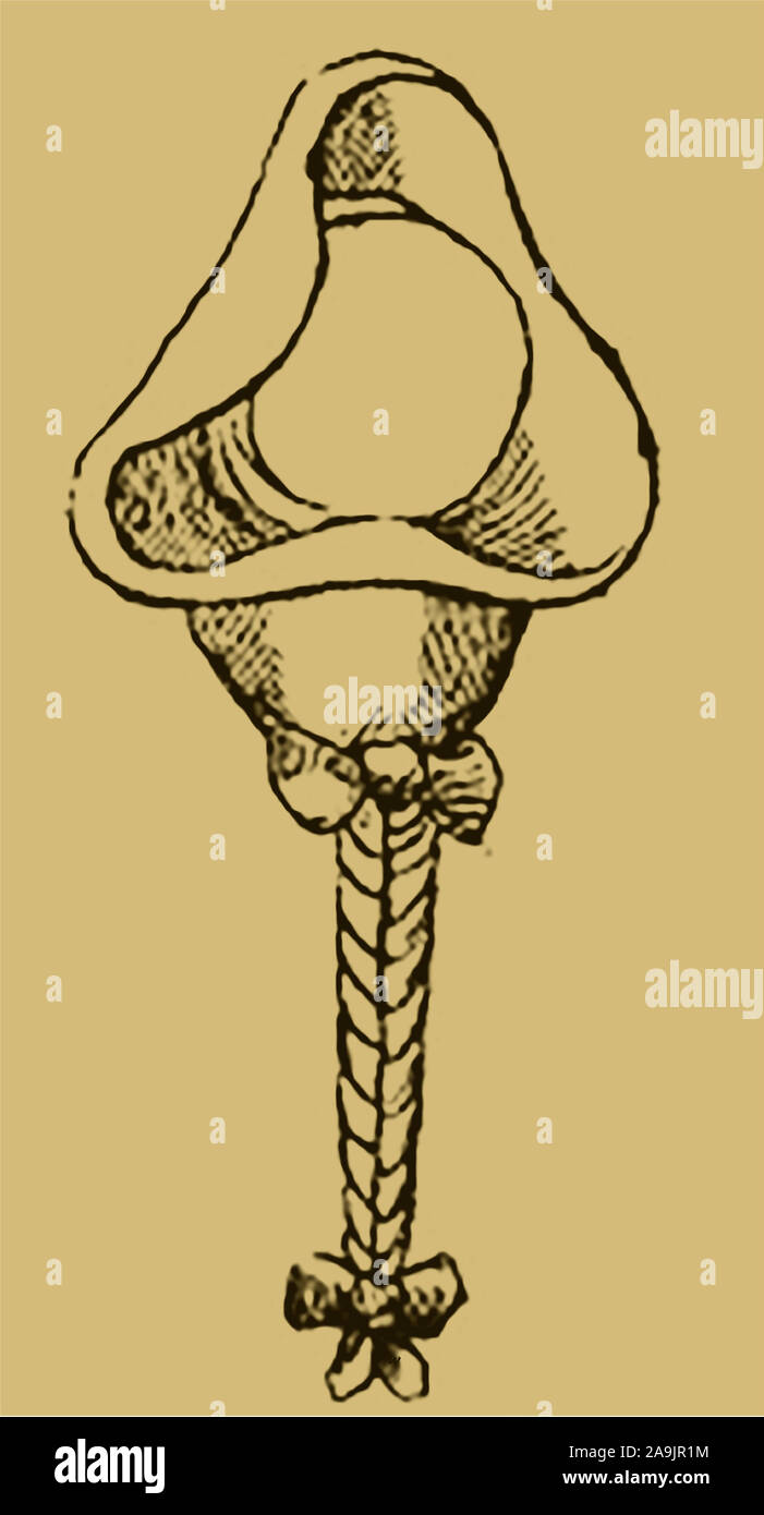 Fashion 18th century hair style hi-res stock photography and images - Alamy