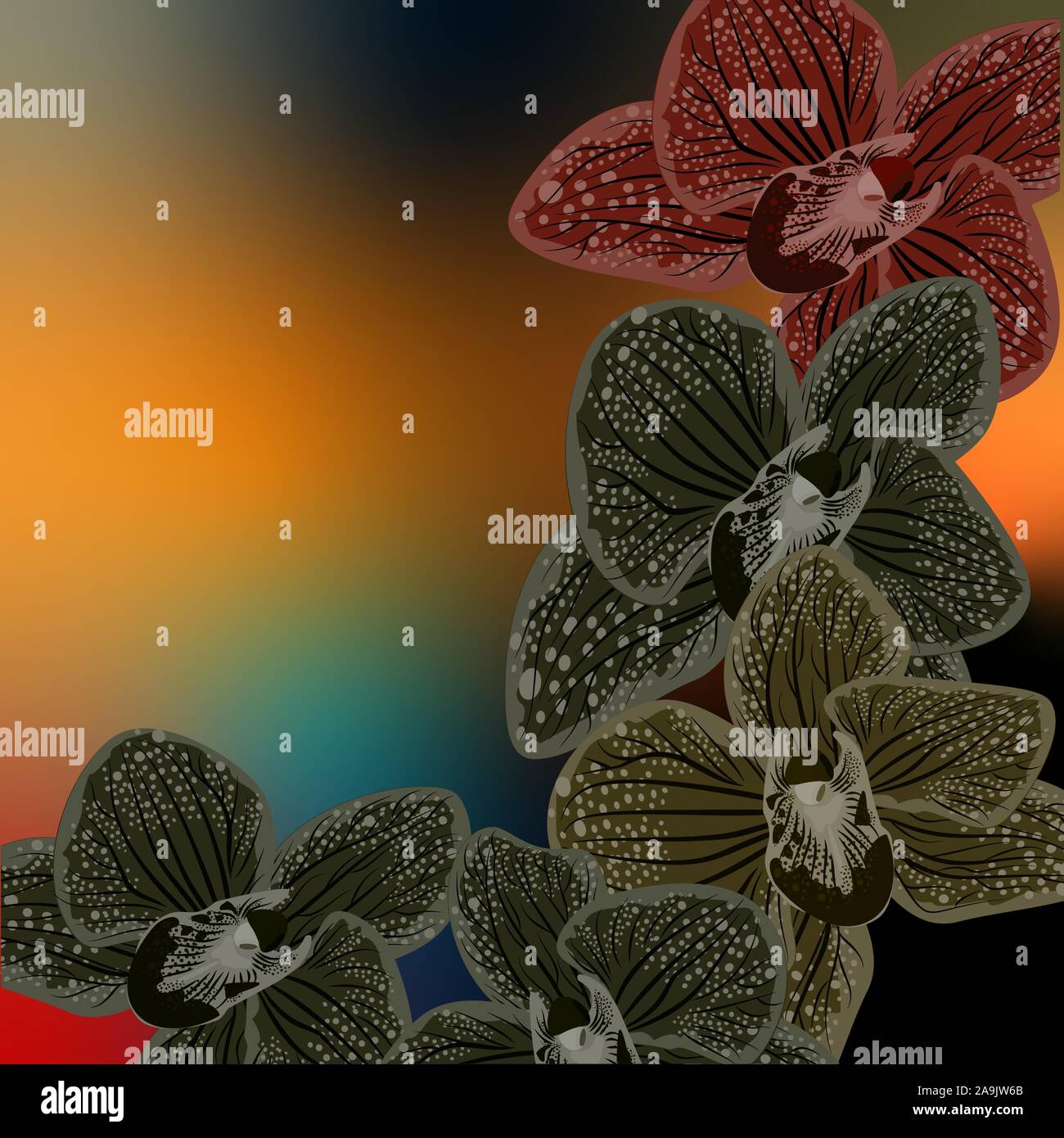 Dark orchid for concept design. Abstract dark orchid for celebration ...