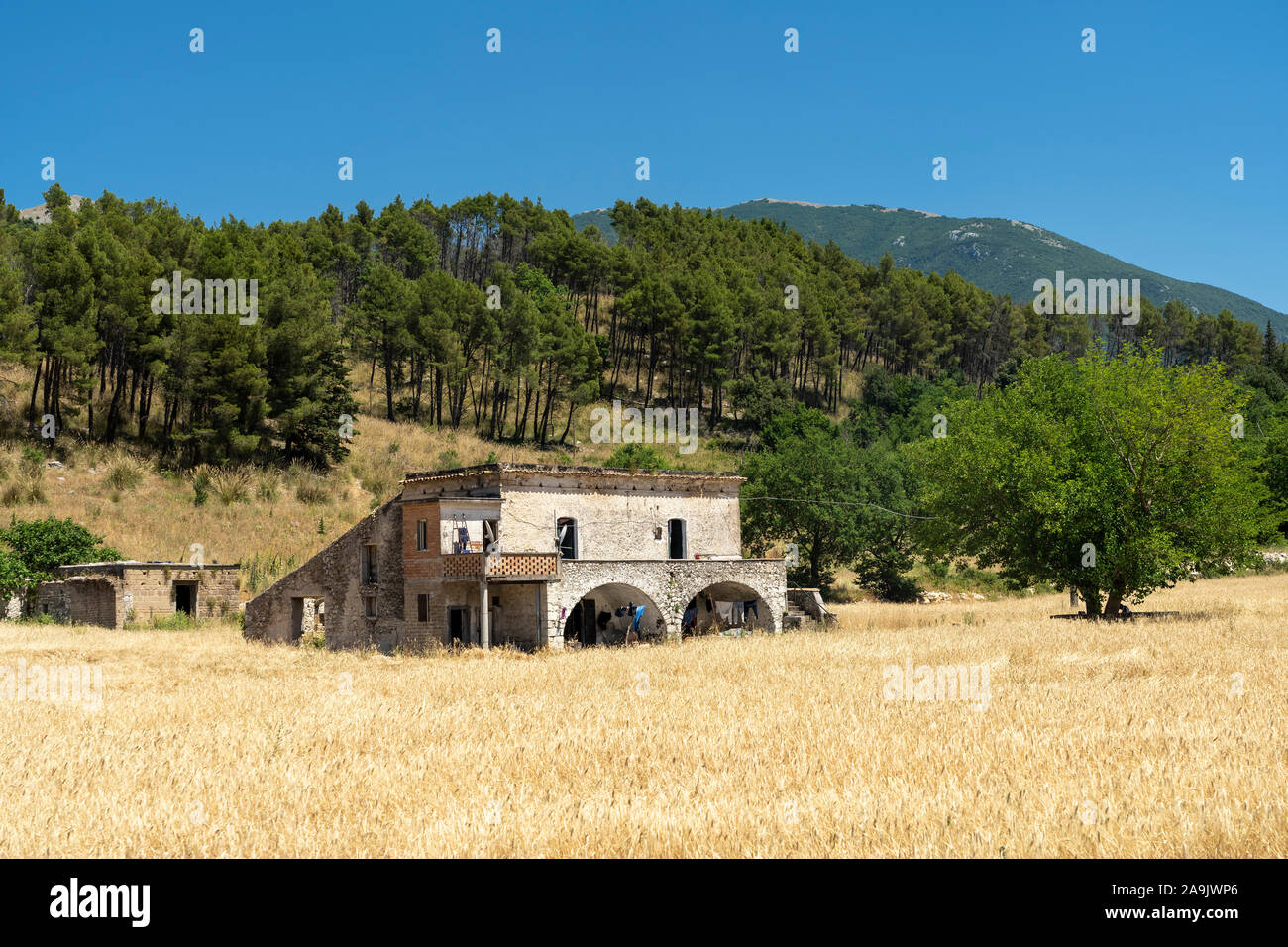 Summer landscape along the road to Capua, Caserta, Campania, Italy ...