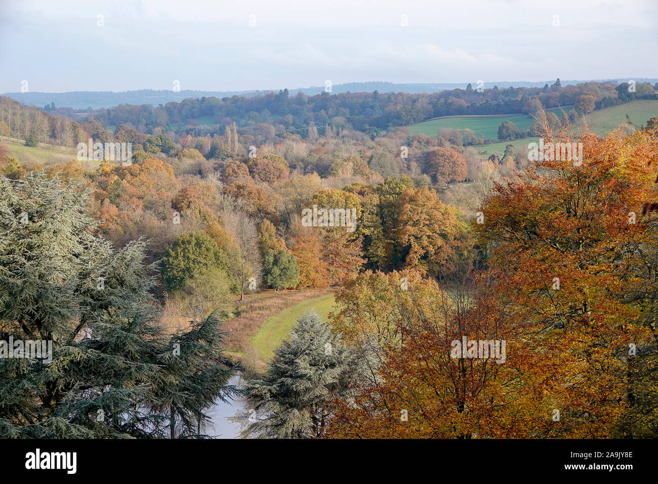 Winkworth arboretum hascombe road hi-res stock photography and images ...