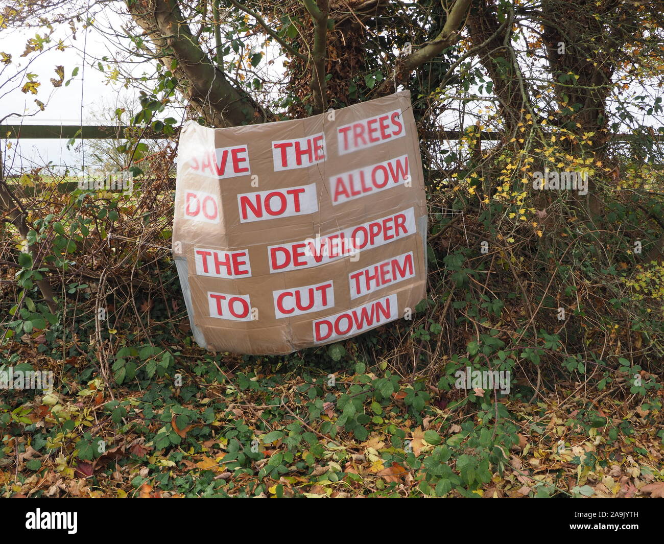 Save the trees hi-res stock photography and images - Alamy