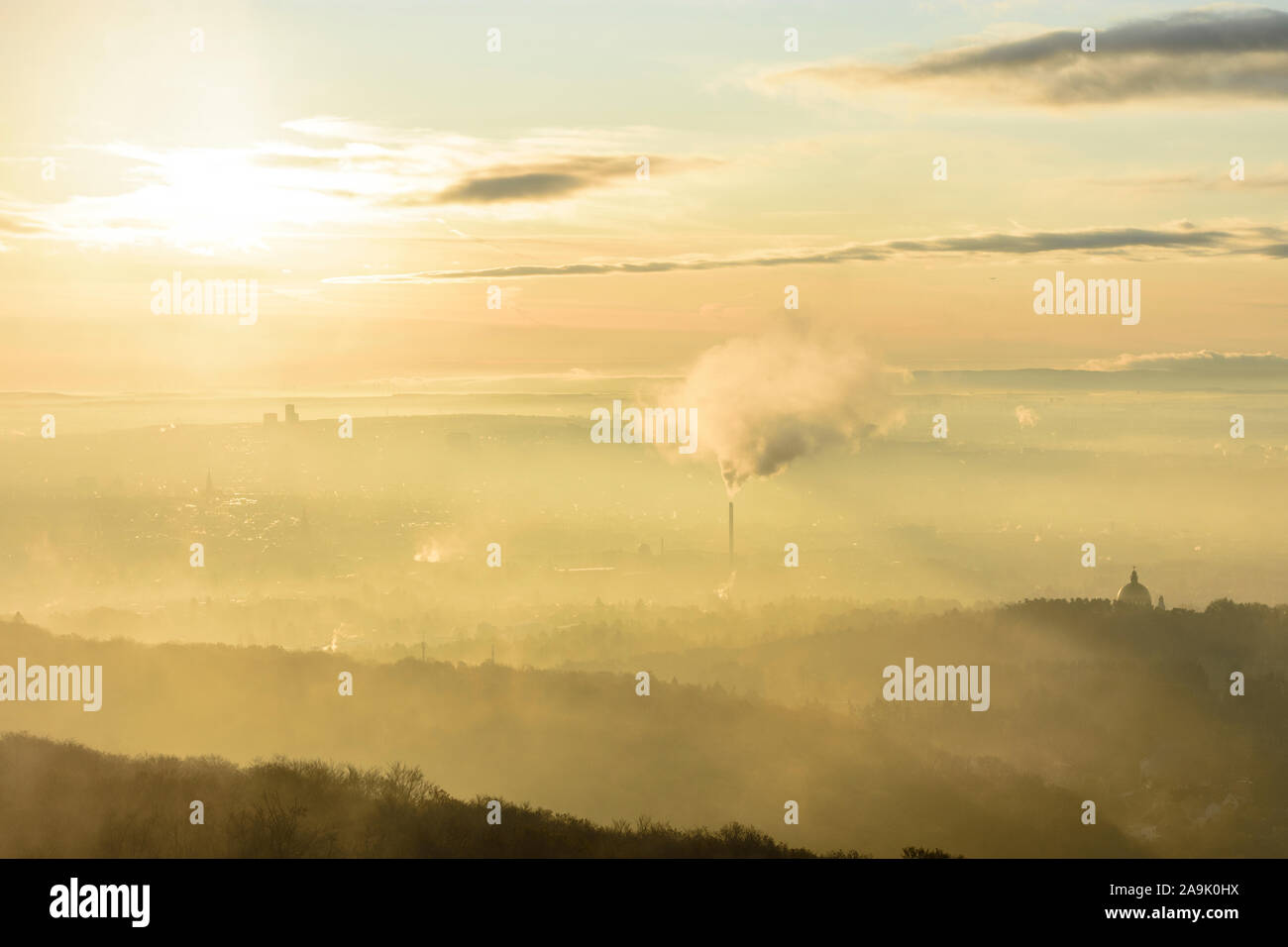 Wien, Vienna: trees, fog, sun, in Wienerwald (Vienna Woods), view to ...