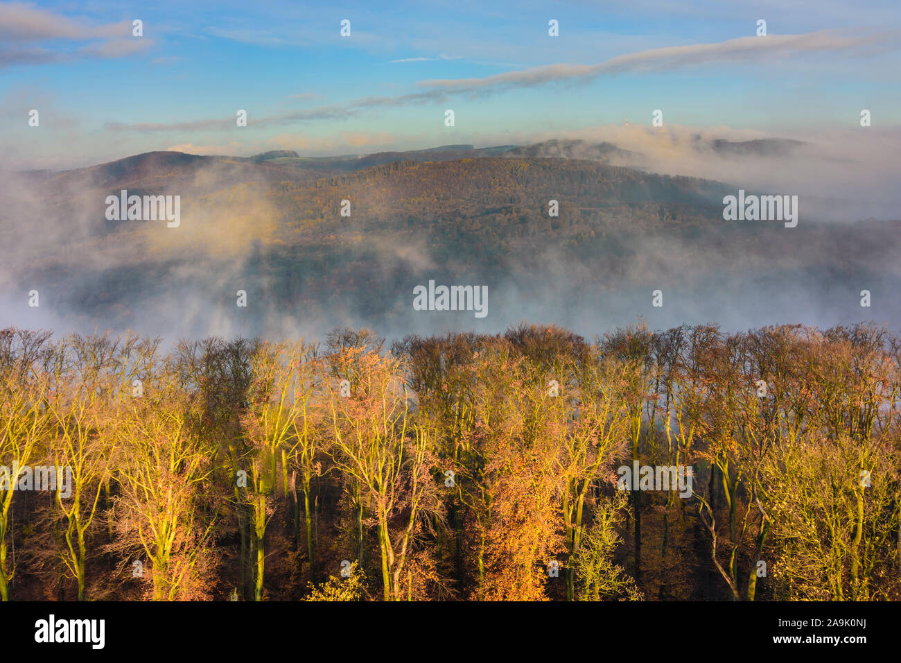 Wienerwald vienna woods in 00 overview hi-res stock photography and ...