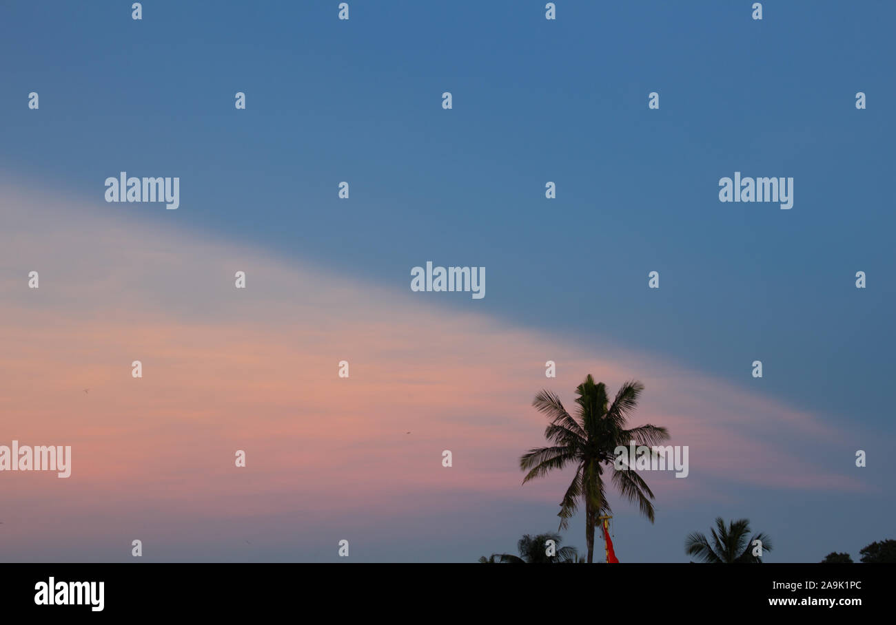 Beautiful view of the coconut tree with background of evening sky Stock ...