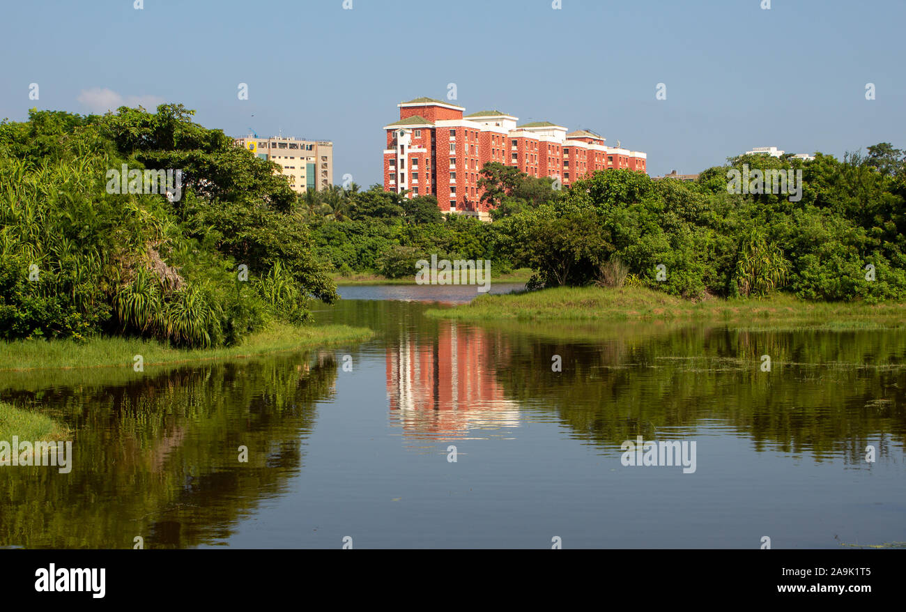 Adyar river hi-res stock photography and images - Alamy