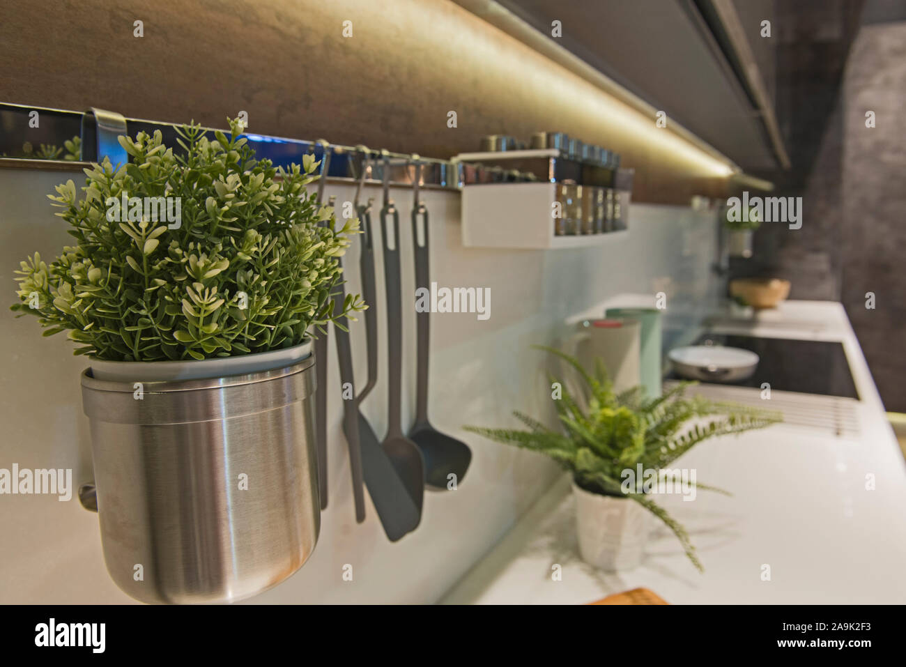 Interior design decor showing modern kitchen and induction hob in ...