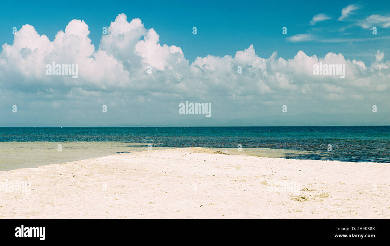 macho de afuera key-cayo de las iguanas , cuba Stock Photo - Alamy