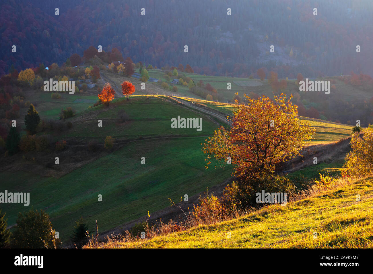 rural landscape at sunrise. beautiful autumn scenery in mountains ...