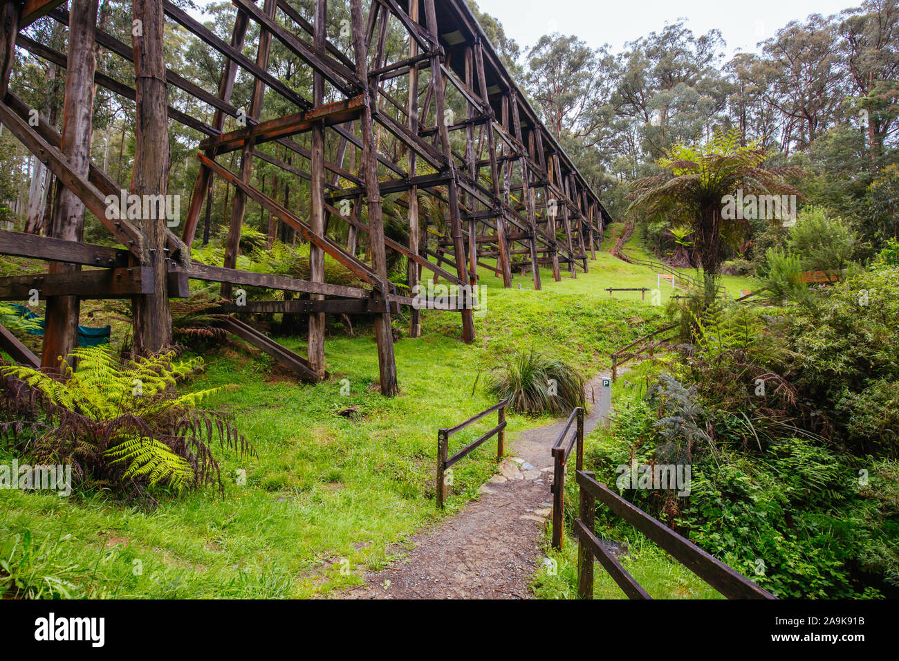 The famous Noojee Trestle Rail Bridge on a cool wet spring day in ...