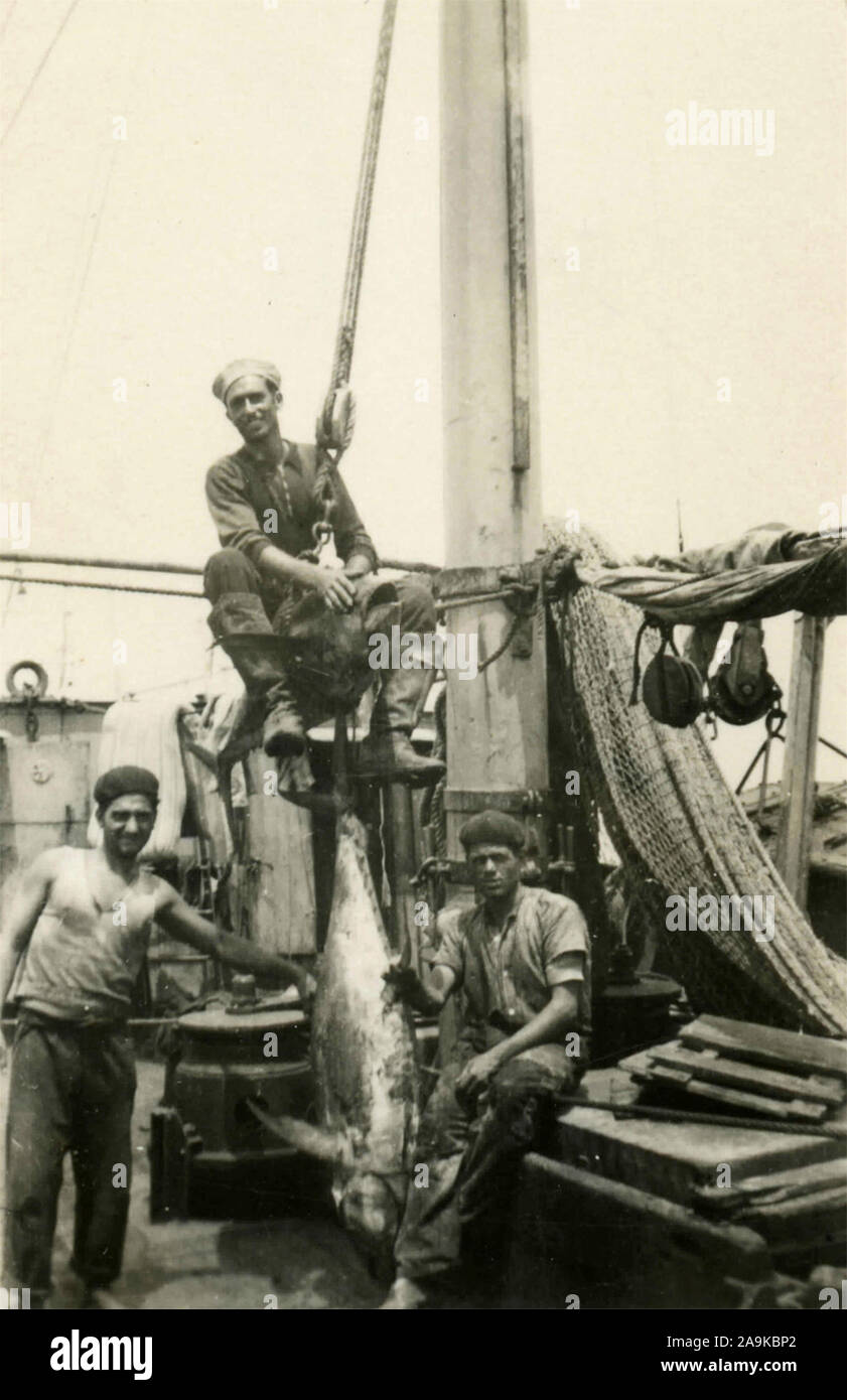 Three fishermen with a big tuna, Italy Stock Photo - Alamy