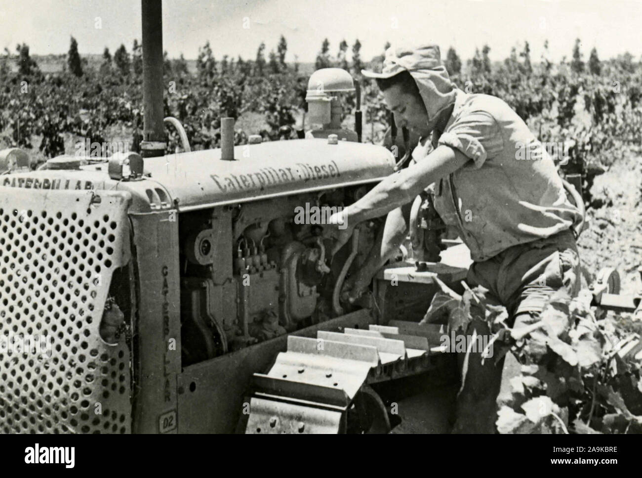 Farmer with tractor, Israel Stock Photo - Alamy