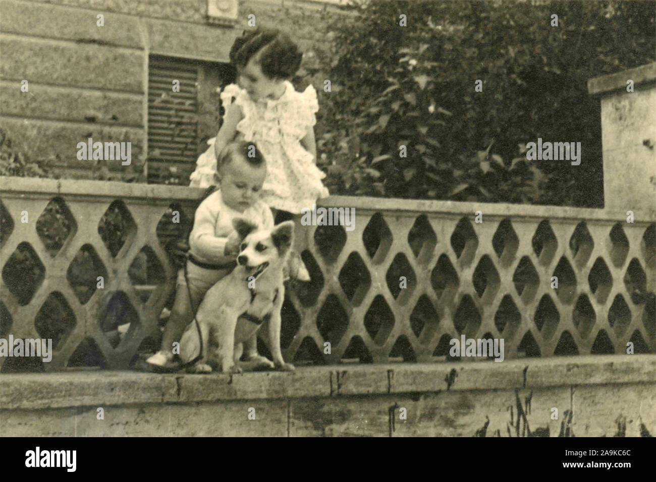 Children with a dog hi-res stock photography and images - Alamy