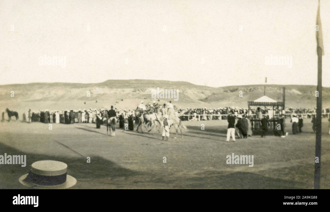 The camel races Stock Photo - Alamy