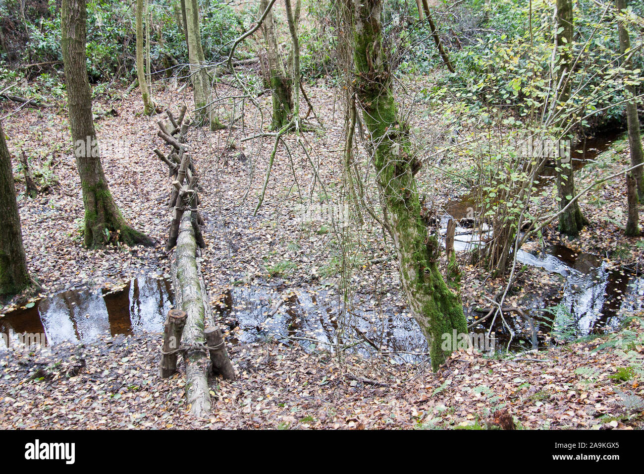 Coldharbour land hi-res stock photography and images - Alamy