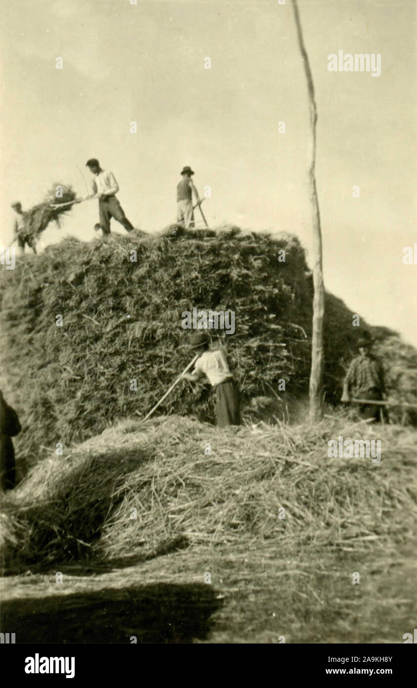 Peasants working hi-res stock photography and images - Alamy