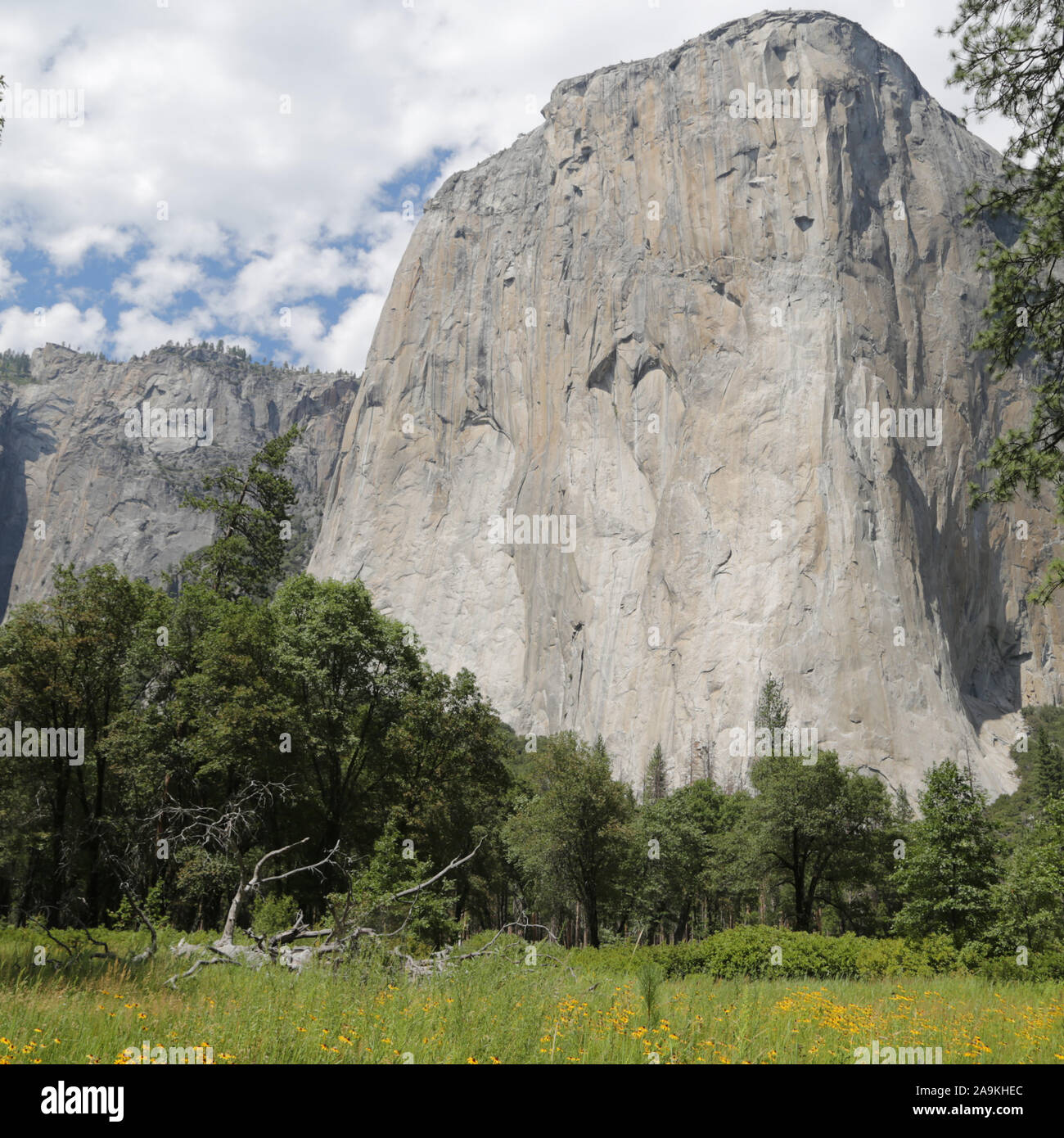 in USA inside yosemite national park the beauty of amazing nature ...