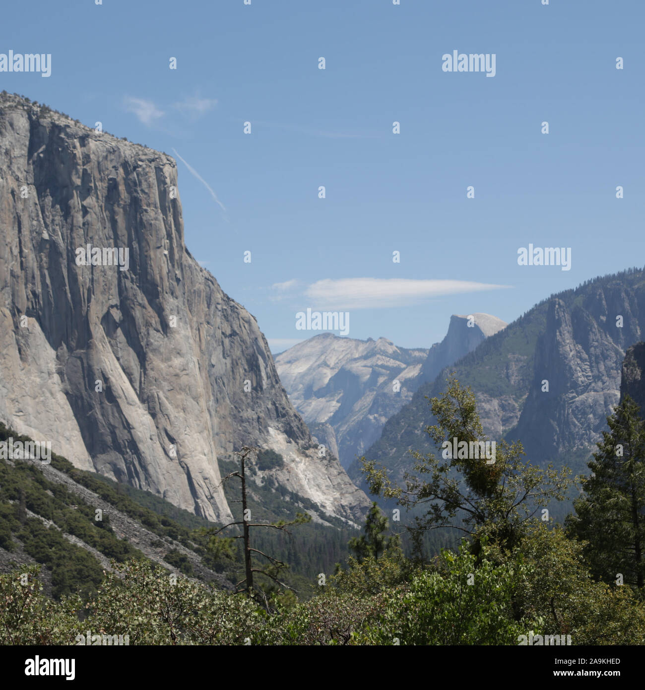 in USA inside yosemite national park the beauty of amazing nature ...