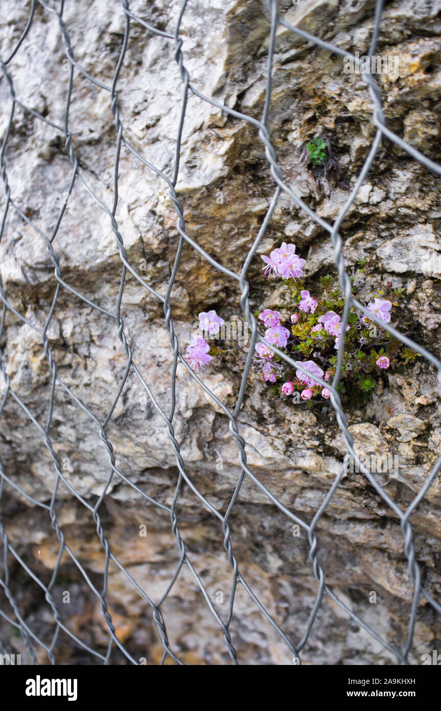 Rockfall barriers hi-res stock photography and images - Alamy