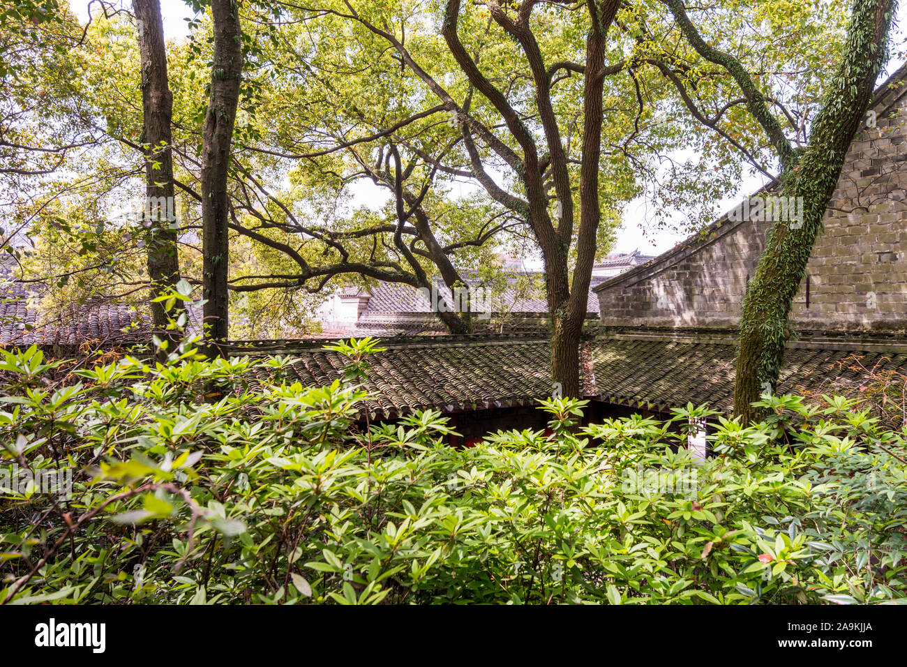 Tianyige High Resolution Stock Photography and Images - Alamy