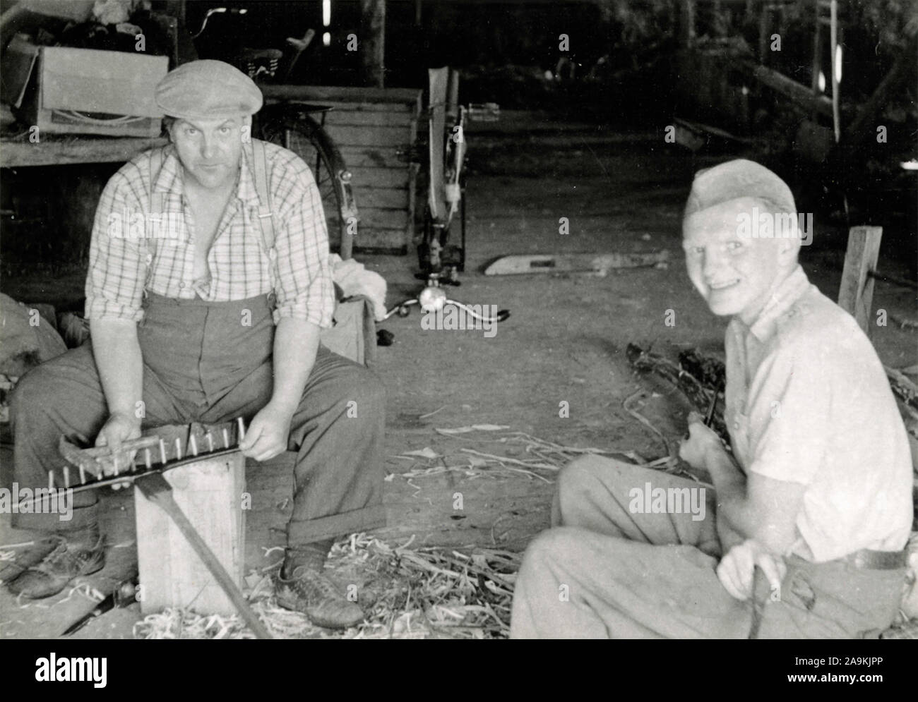 Father and son farmers, Denmark Stock Photo - Alamy