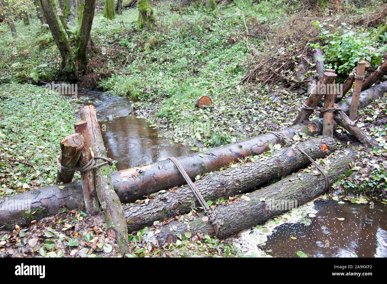 tributaries Pipp Brook Coldharbour Surrey Stock Photo - Alamy