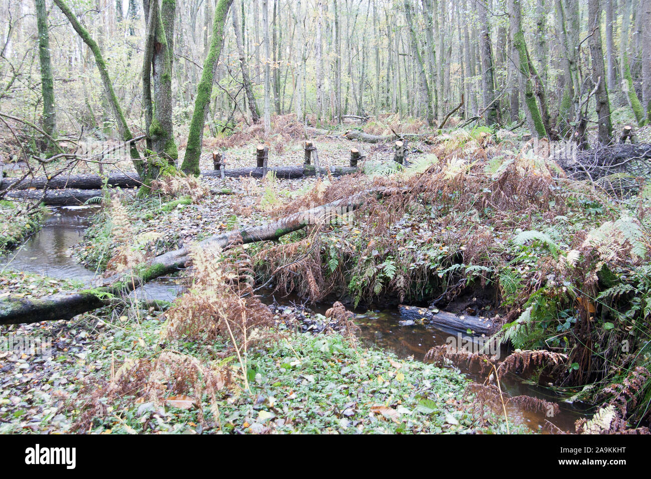 Coldharbour land hi-res stock photography and images - Alamy