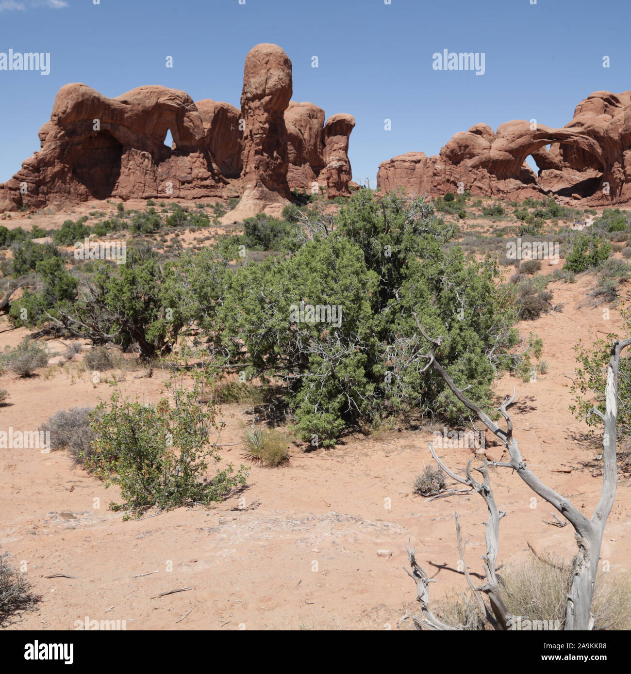 in USA inside the arches national park the beauty of amazing nature ...